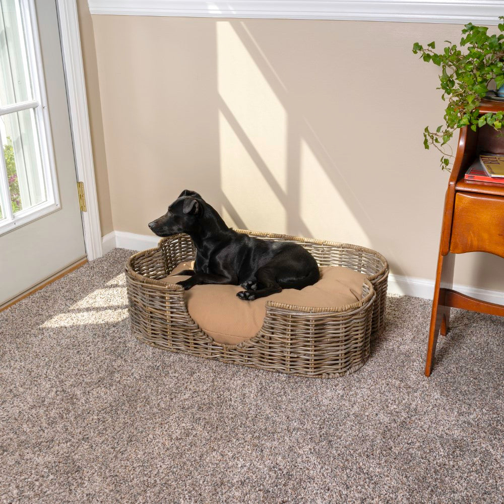 Shop Dog Beds & Essentials | Durable, Cozy & Stylish Picks